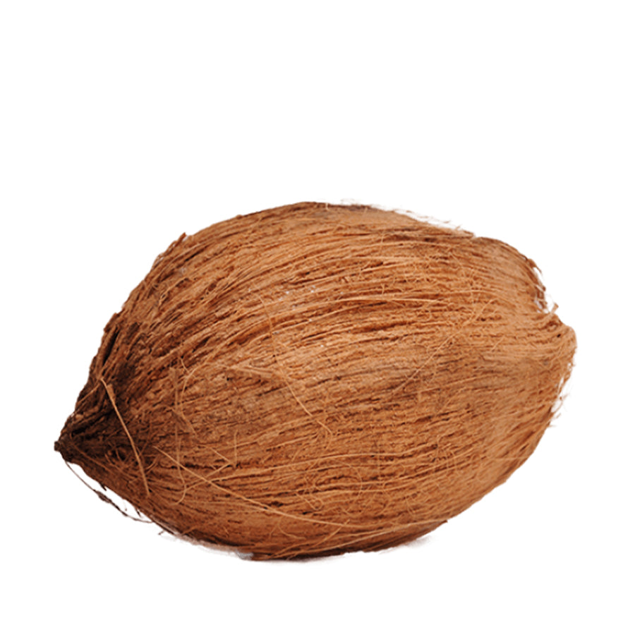 Fresh Puja Coconut (with Tail) – Spice Village